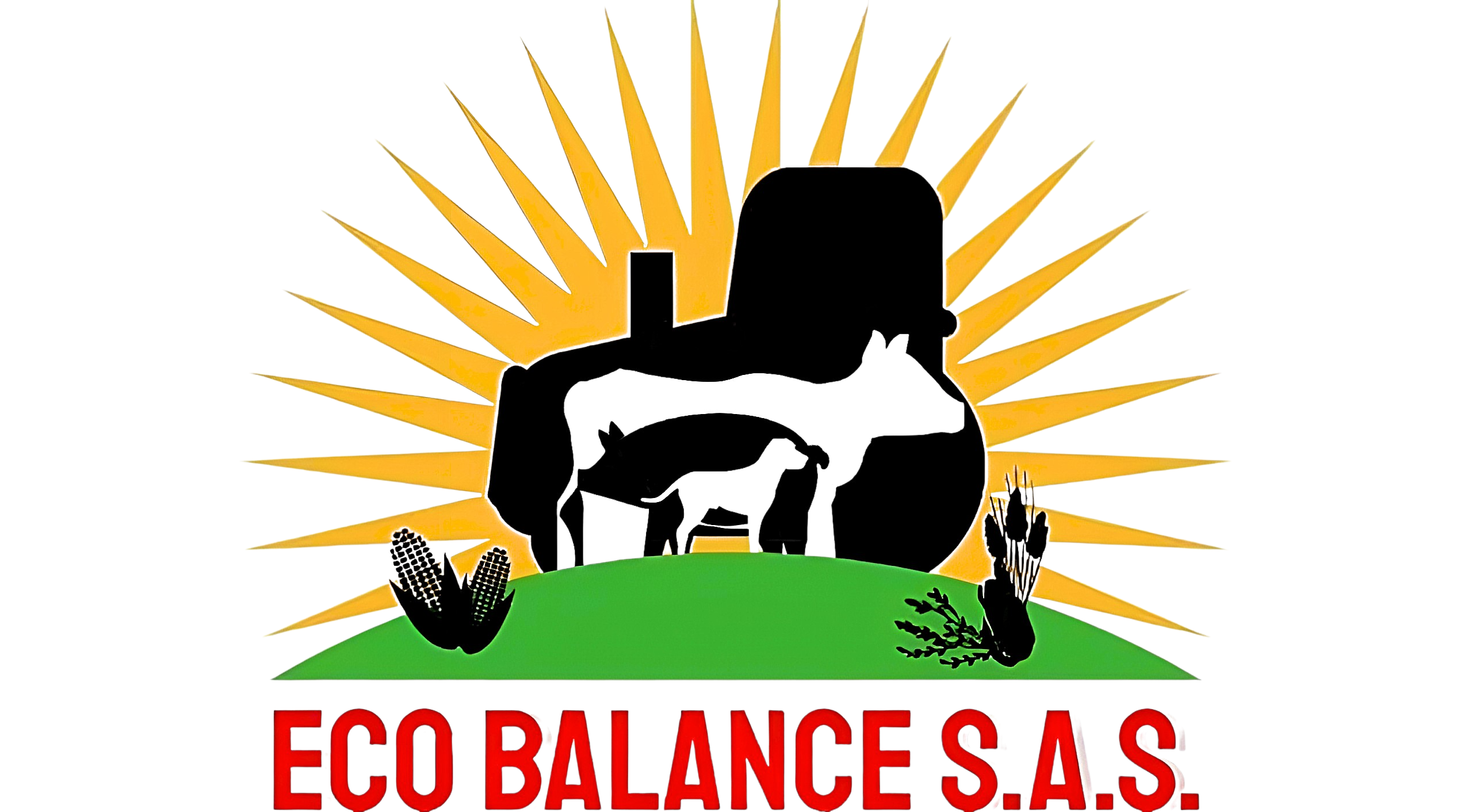 BALANCEADO ANIMALES DE CAMPO